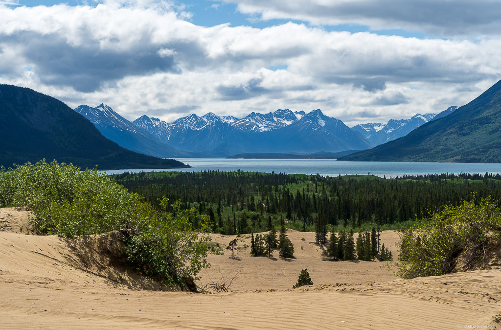 Carcross Desert – World’s Smallest Desert – The Globe Backpacker
