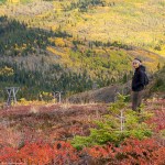 Hiking the Sam McGee Trail in Carcross, Yukon – The Globe Backpacker