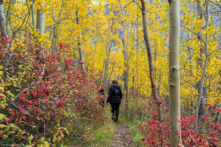 Hiking the Sam McGee Trail in Carcross, Yukon – The Globe Backpacker