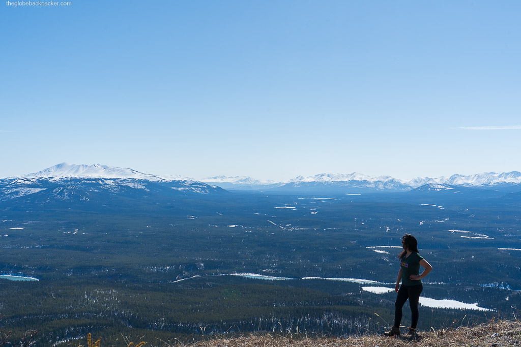 Grey Mountain Hike & The Secret Cave – The Globe Backpacker