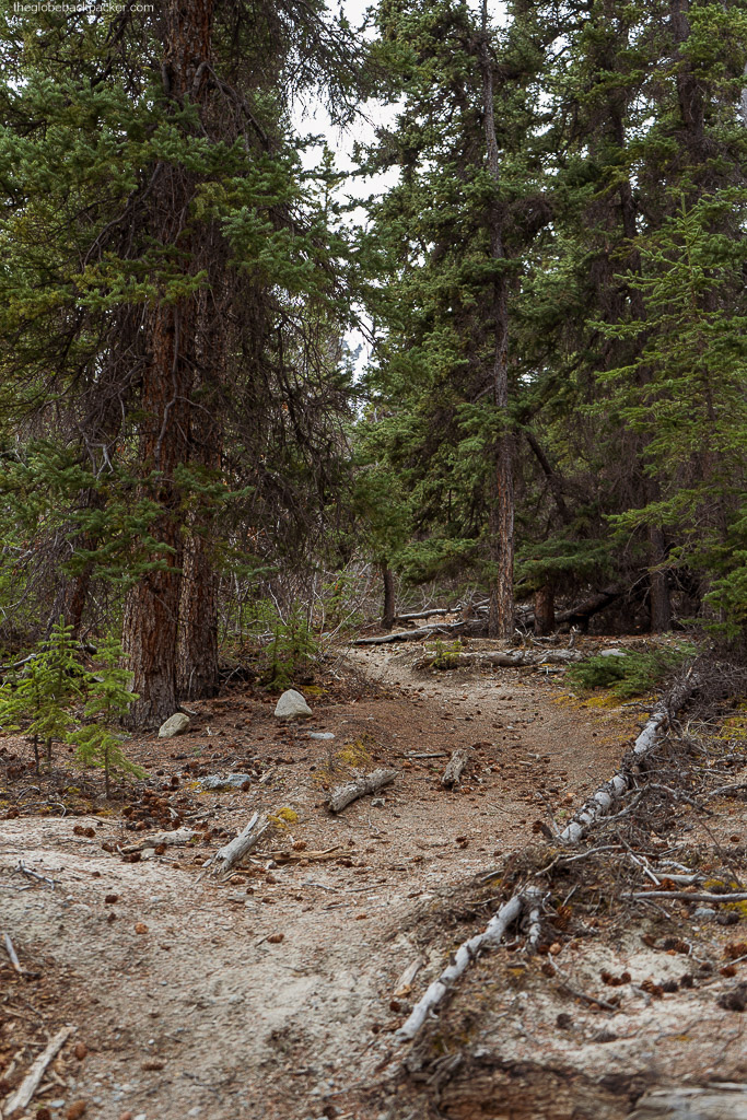 Kusawa Ridge Hike in Yukon, Canada – The Globe Backpacker
