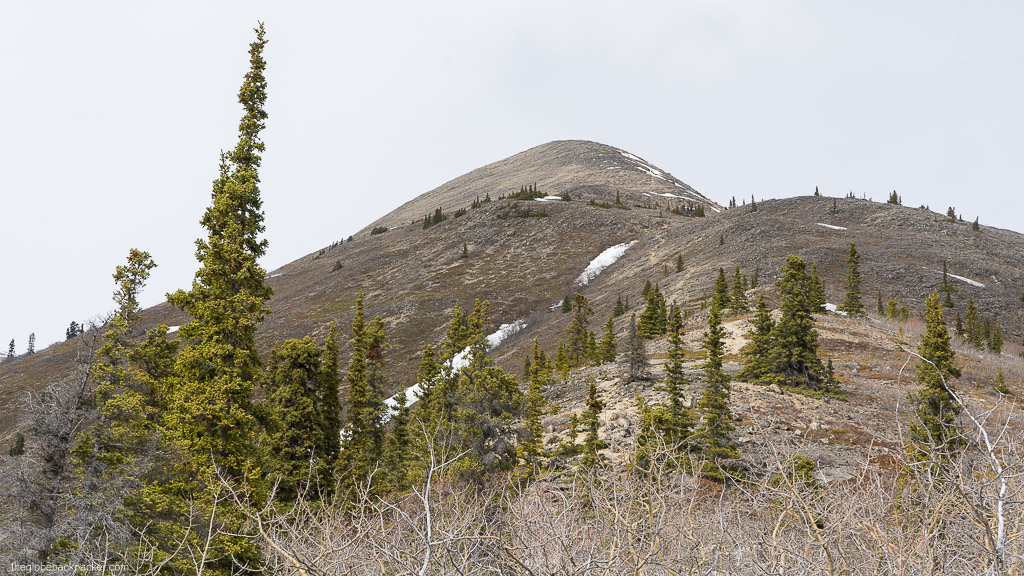 Kusawa Ridge Hike in Yukon, Canada – The Globe Backpacker