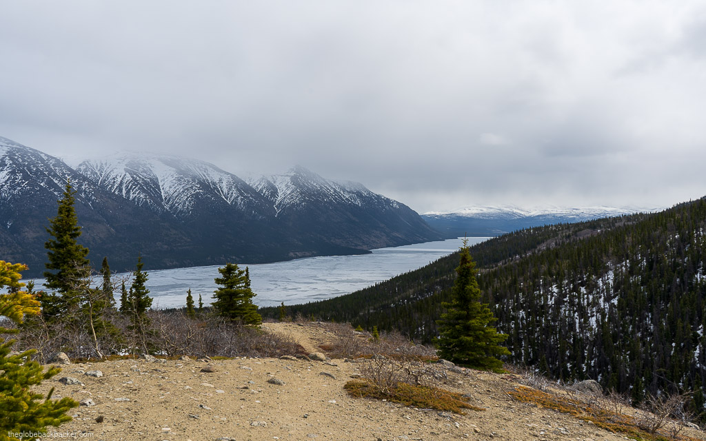 Kusawa Ridge Hike in Yukon, Canada – The Globe Backpacker