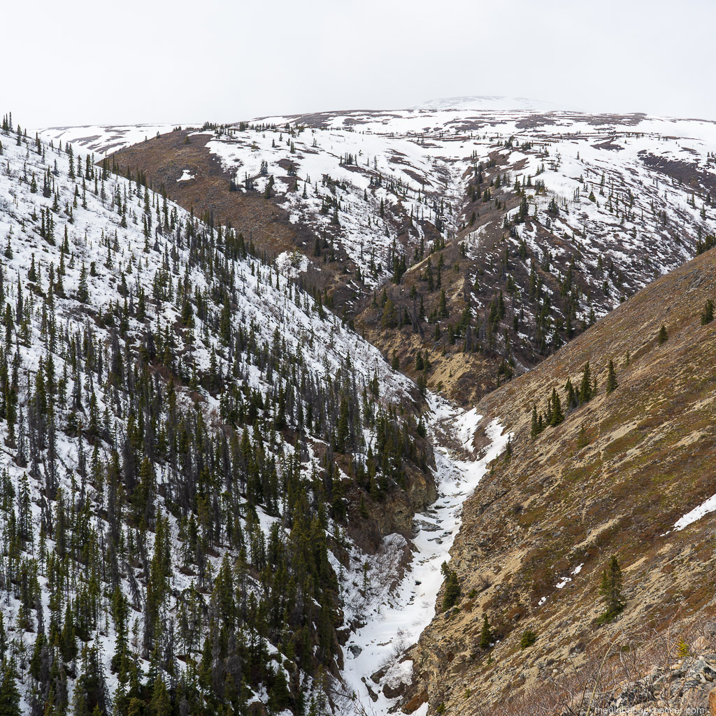 Kusawa Ridge Hike in Yukon, Canada – The Globe Backpacker