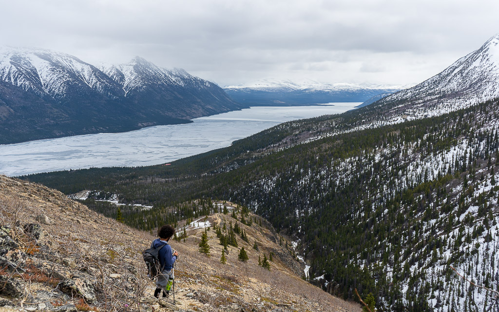 Kusawa Ridge Hike in Yukon, Canada – The Globe Backpacker
