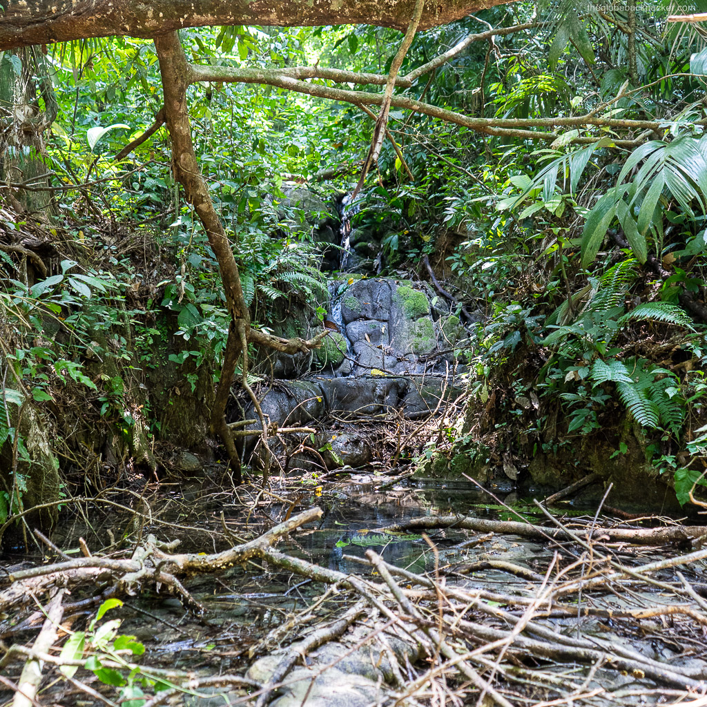 Exploring the Mayan Ruins & the Jungle Walk in Palenque – The Globe ...